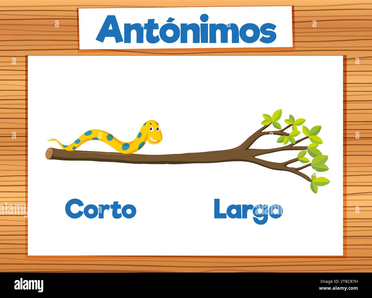 Illustrated picture word cards in Spanish for teaching the antonyms ...