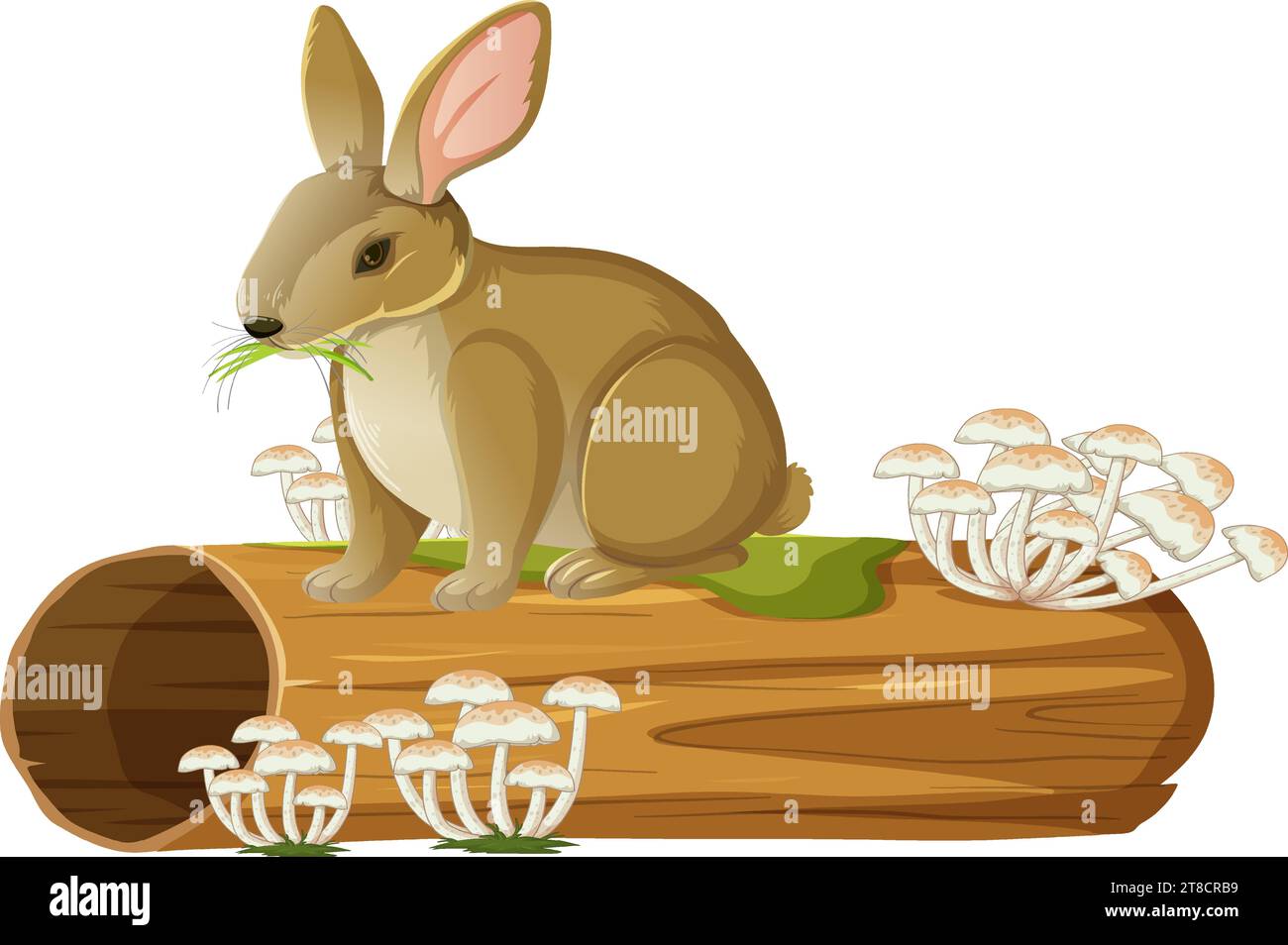 Magical forest setting Stock Vector Images - Alamy