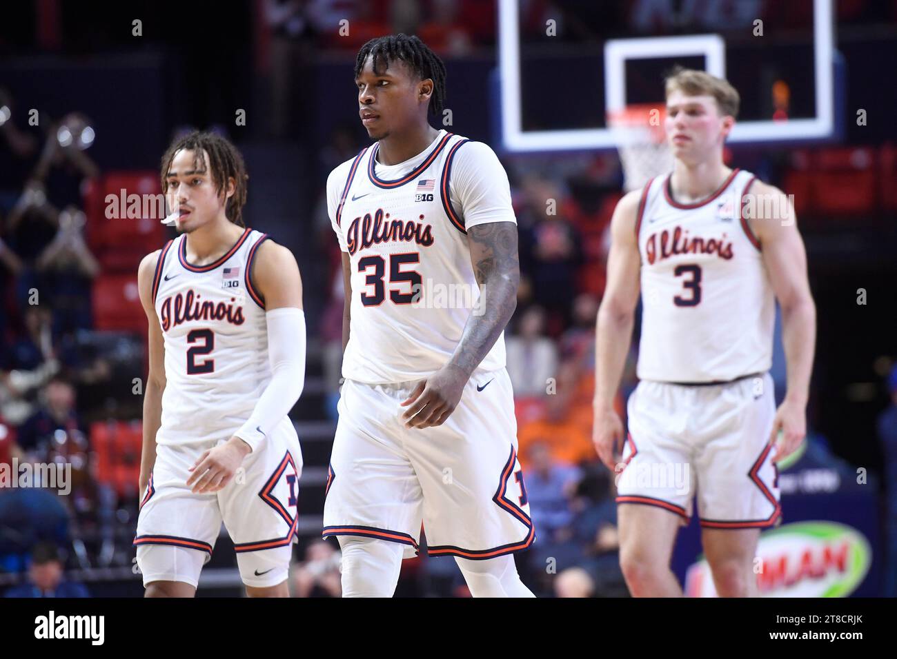 CHAMPAIGN, IL - NOVEMBER 19: Illinois Fighting Illini Forward Amani ...