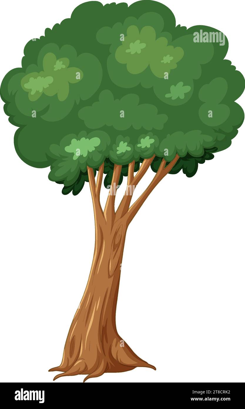 Standalone tree illustration Stock Vector Images - Alamy