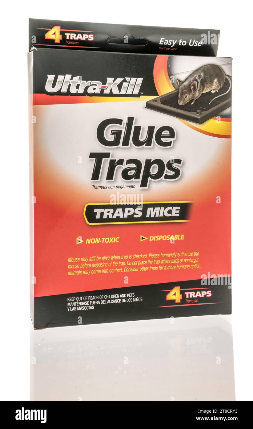 Winneconne, WI - 28 October 2023: A package of Ultra kill glue trap for ...