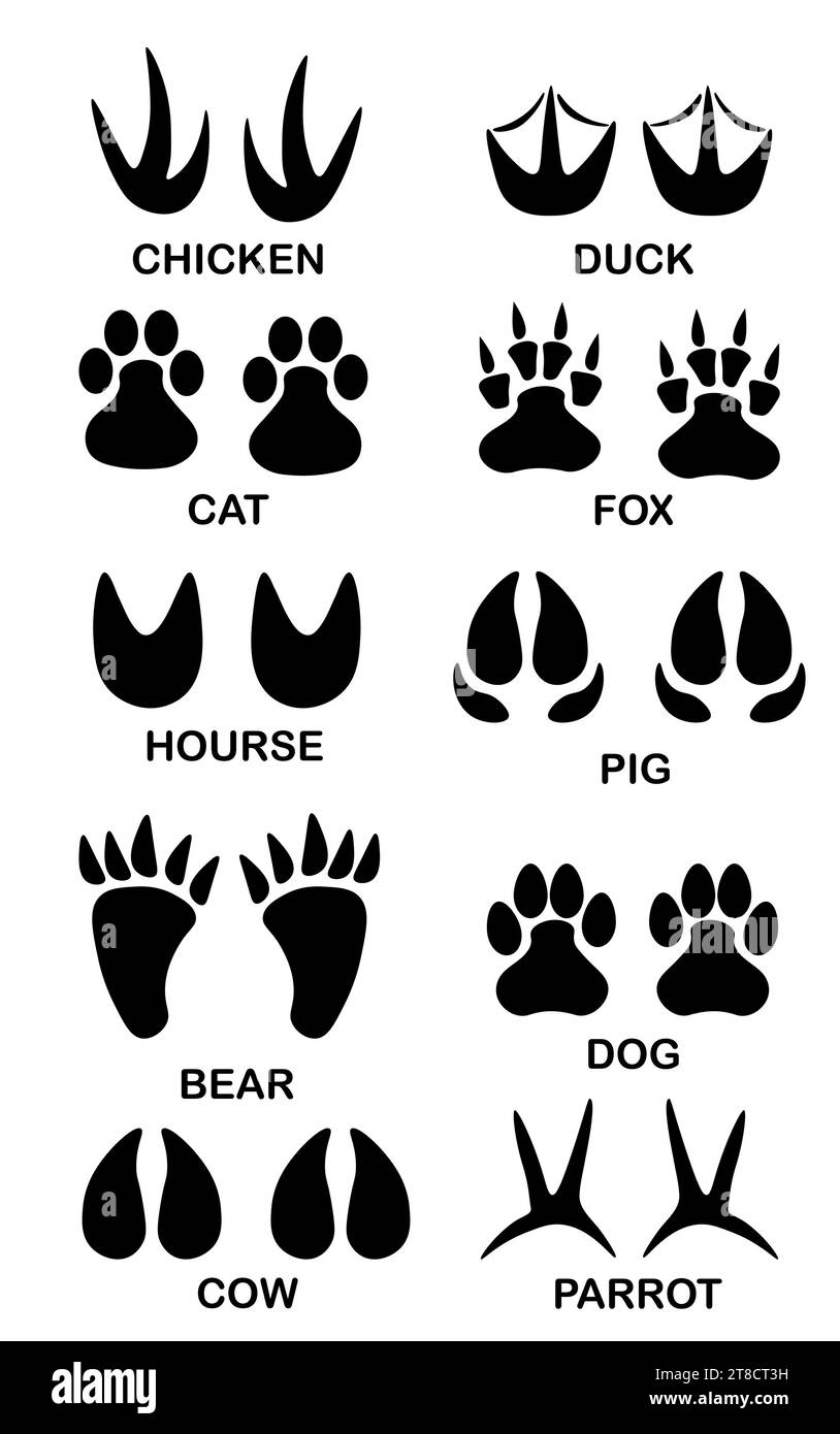 Set of different black animals and bird footprint. Silhouette imprint ...