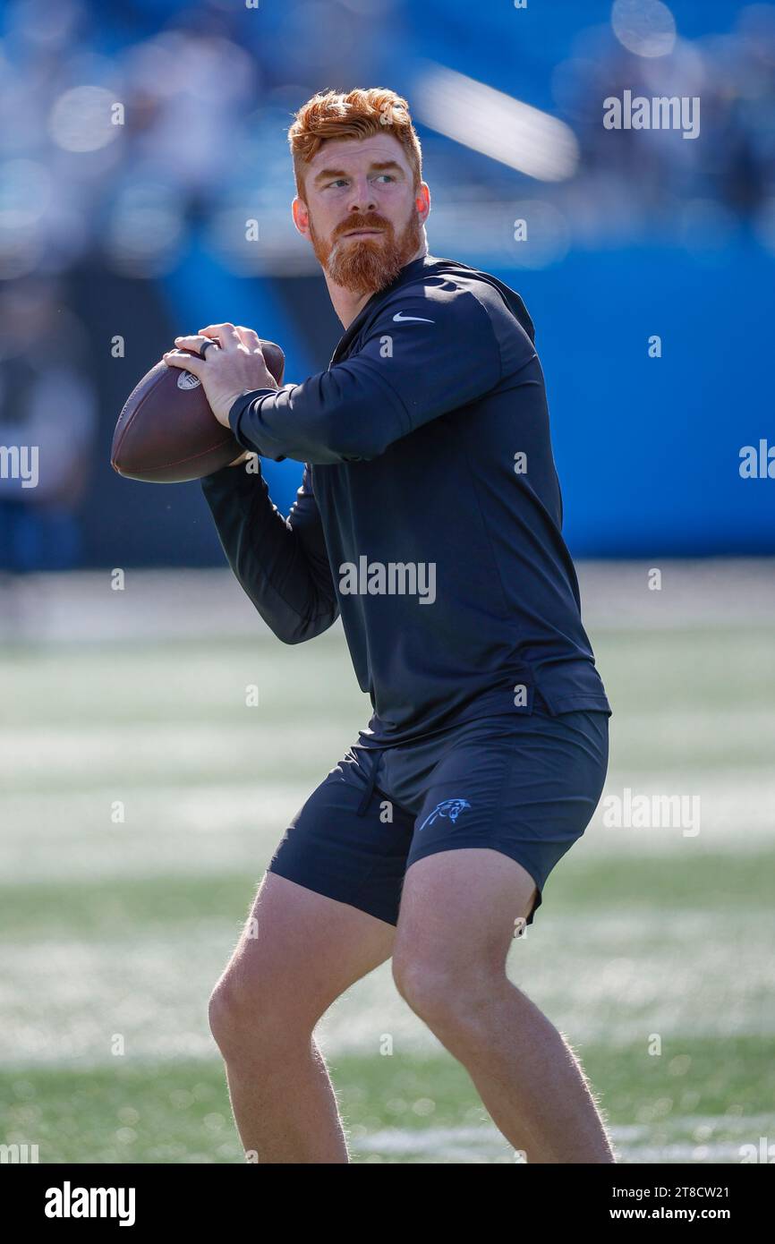Charlotte, NC USA: Carolina Panthers quarterback Andy Dalton (14) drops ...