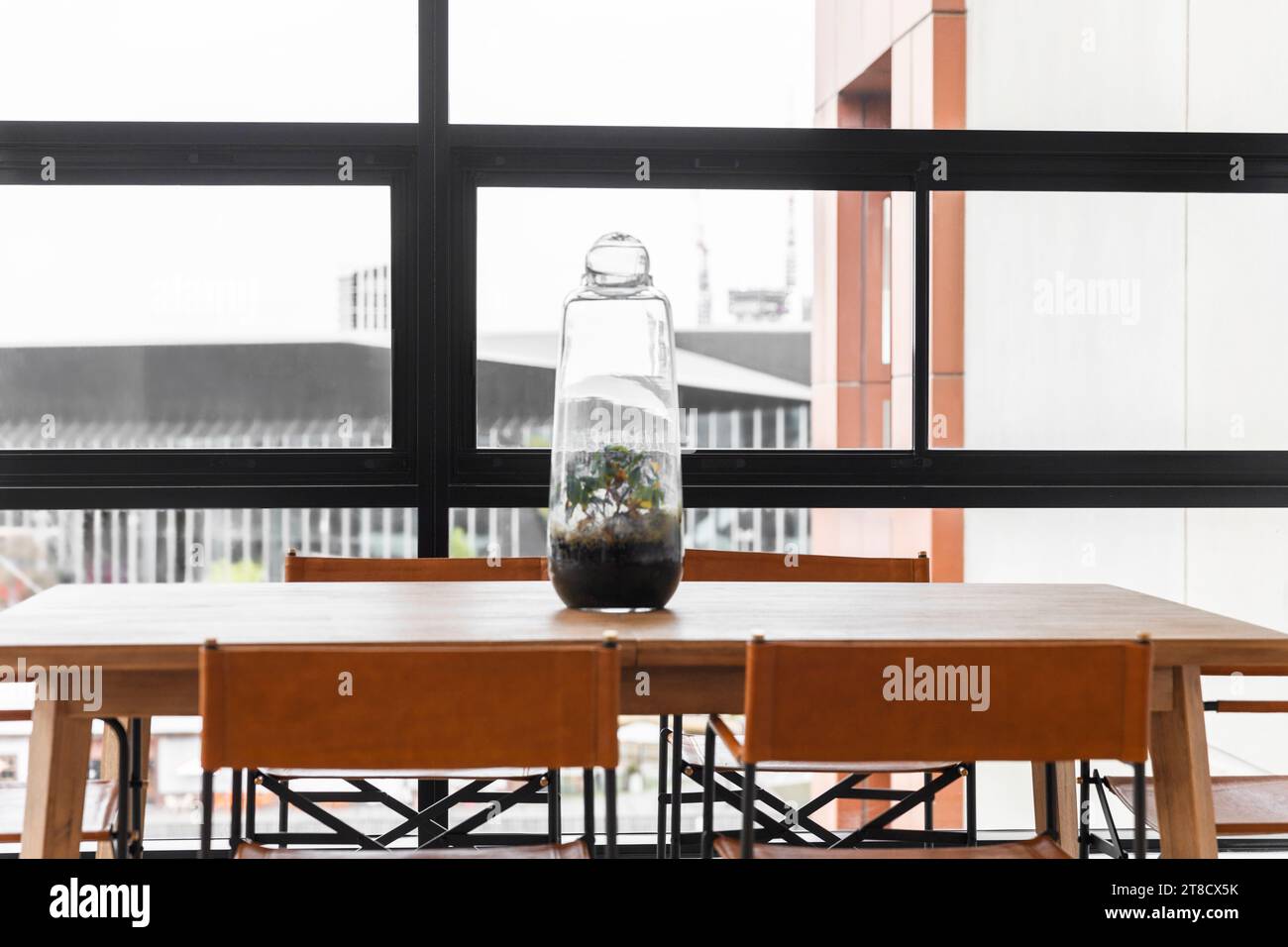 terrarium enhances the interior of a modern city apartment, introducing ...