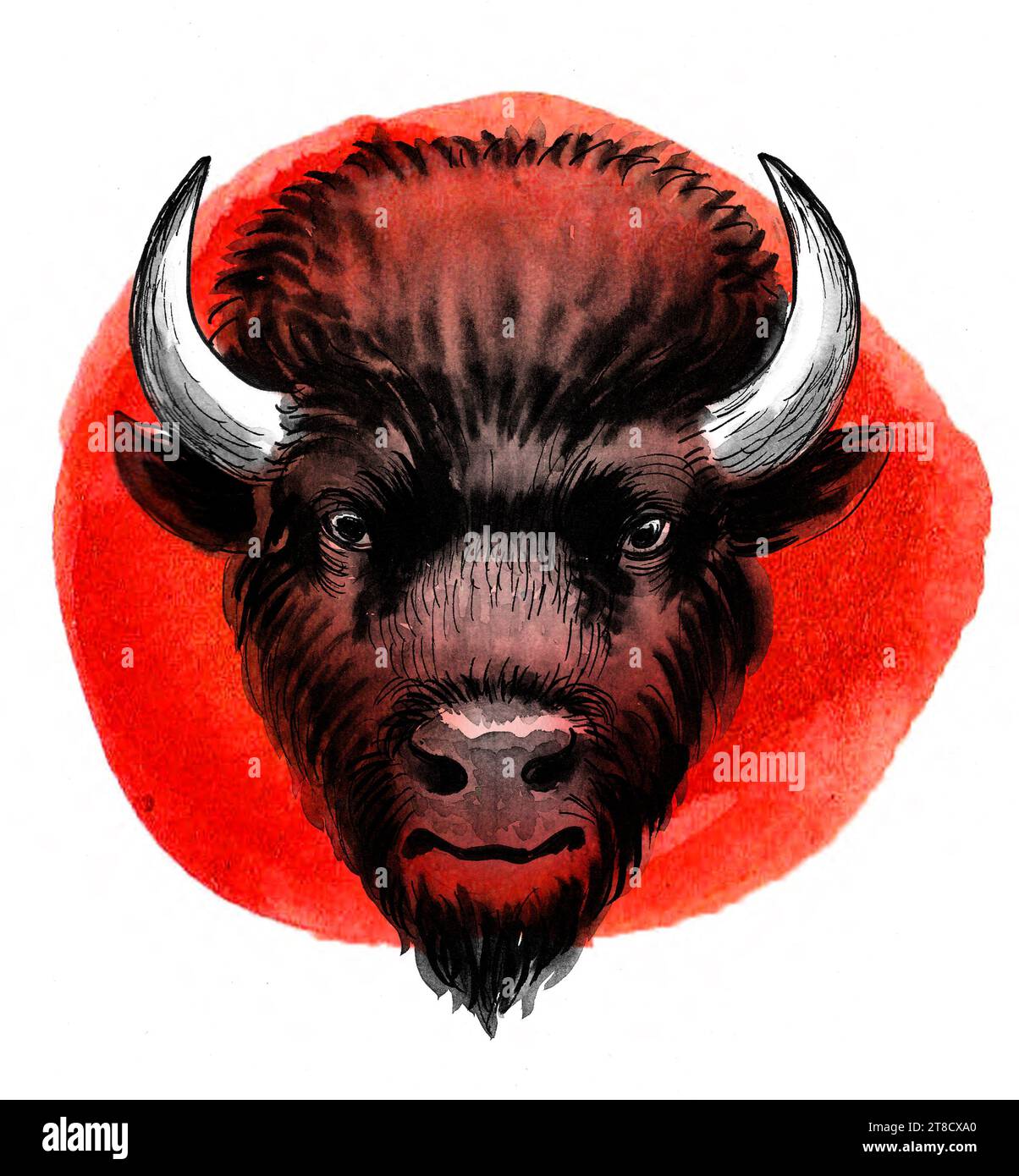 Bison bull head. Hand-drawn ink and watercolor sketch Stock Photo - Alamy