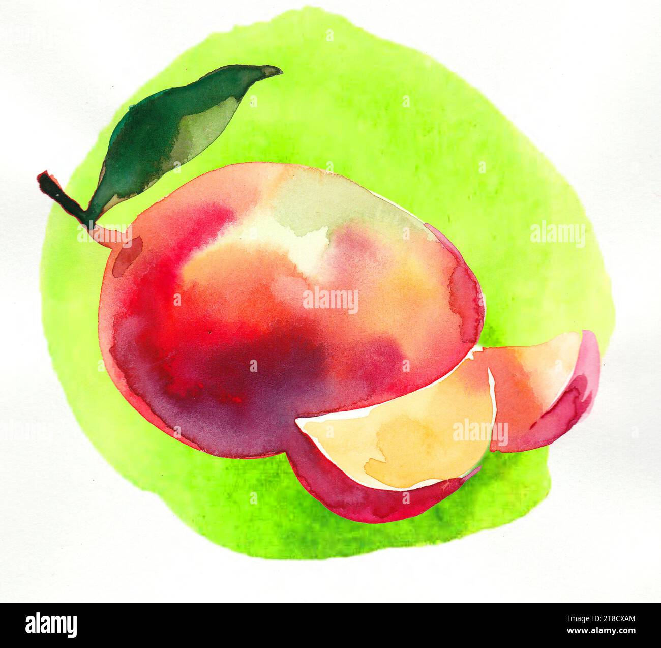 Mango hand drawn hi-res stock photography and images - Alamy