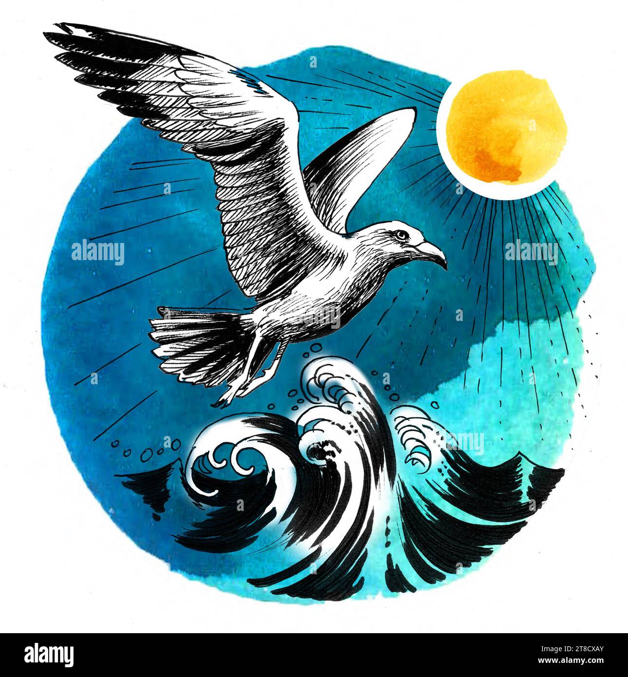 Flying seagull. Hand-drawn ink and watercolor sketch Stock Photo - Alamy