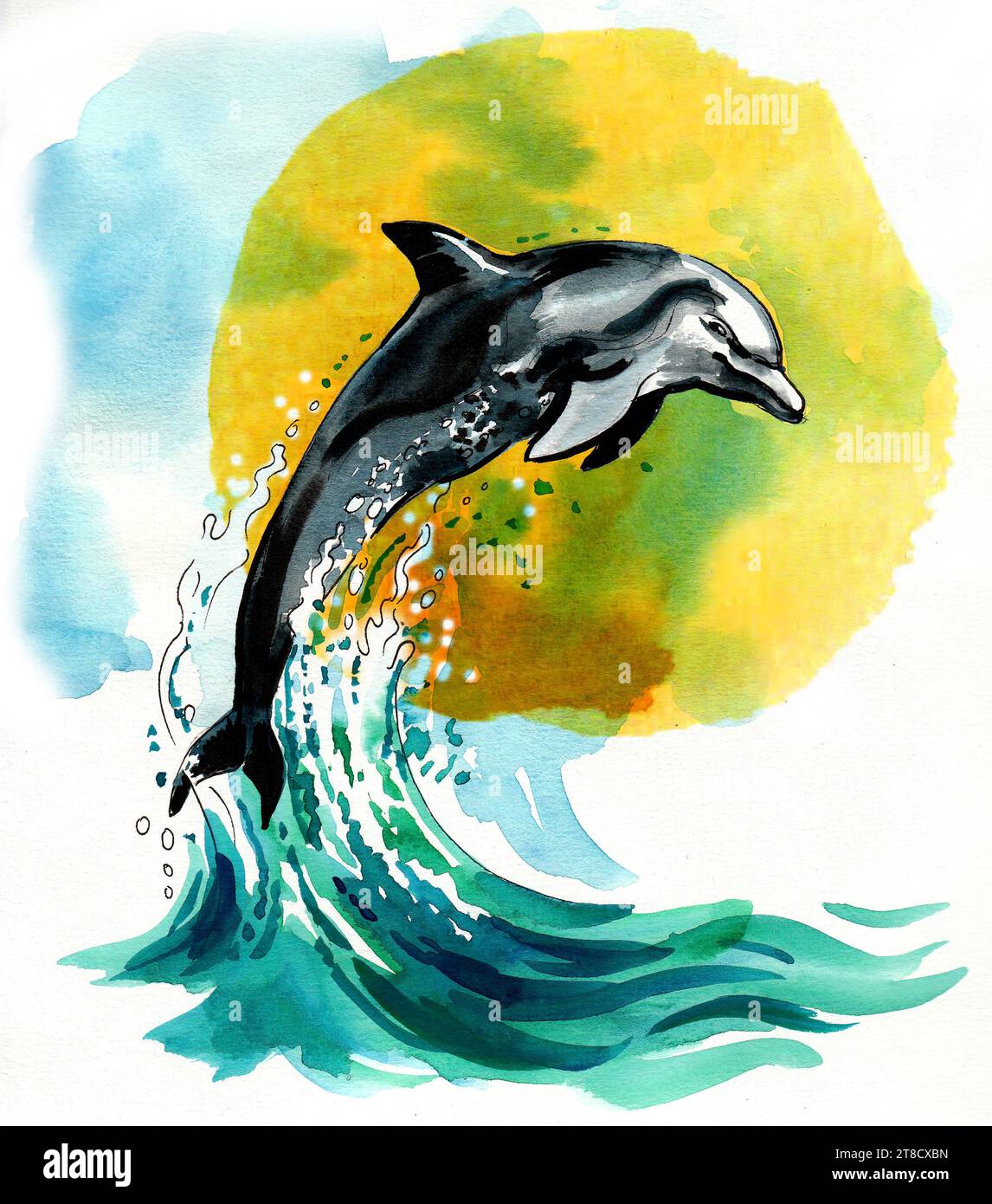 Jumping dolphin. Hand-drawn ink and watercolor sketch Stock Photo - Alamy