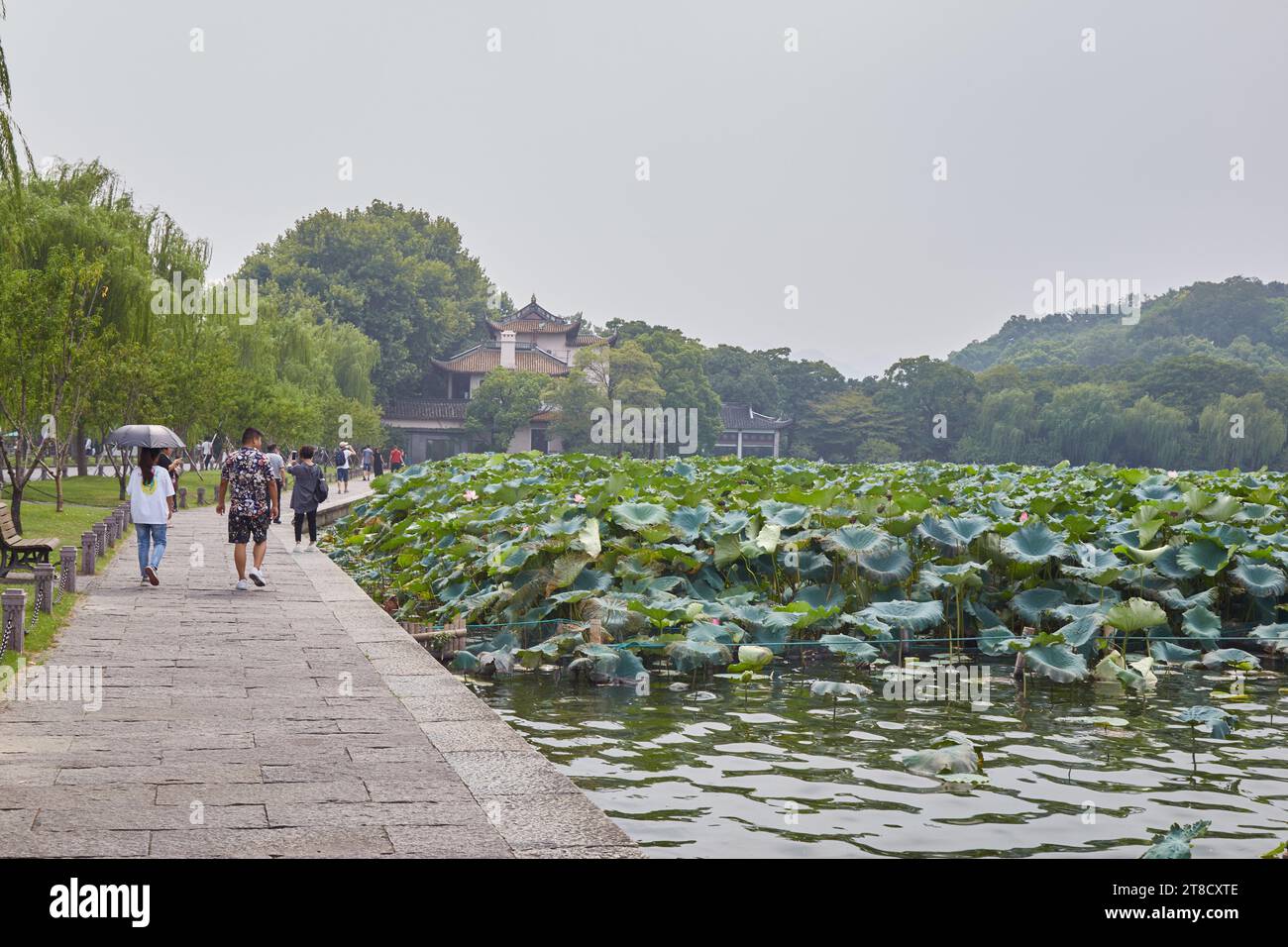 The beautiful historic city of Hangzhou, Zhejiang Province, China Stock ...
