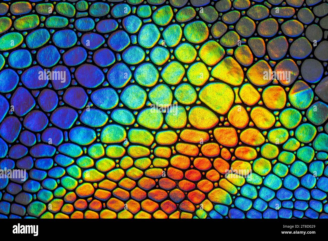 Colored samples of leather in a different colors Stock Photo - Alamy