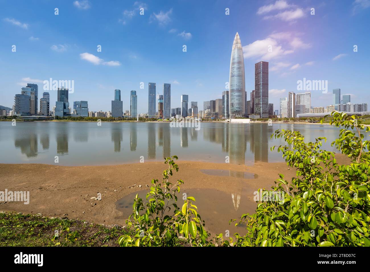 Park in city of Shenzhen China,beautiful mix of green trees combined ...