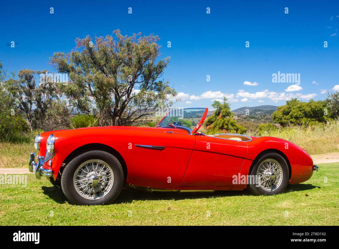 Side view 1952 Austin Healey 100 Stock Photo - Alamy