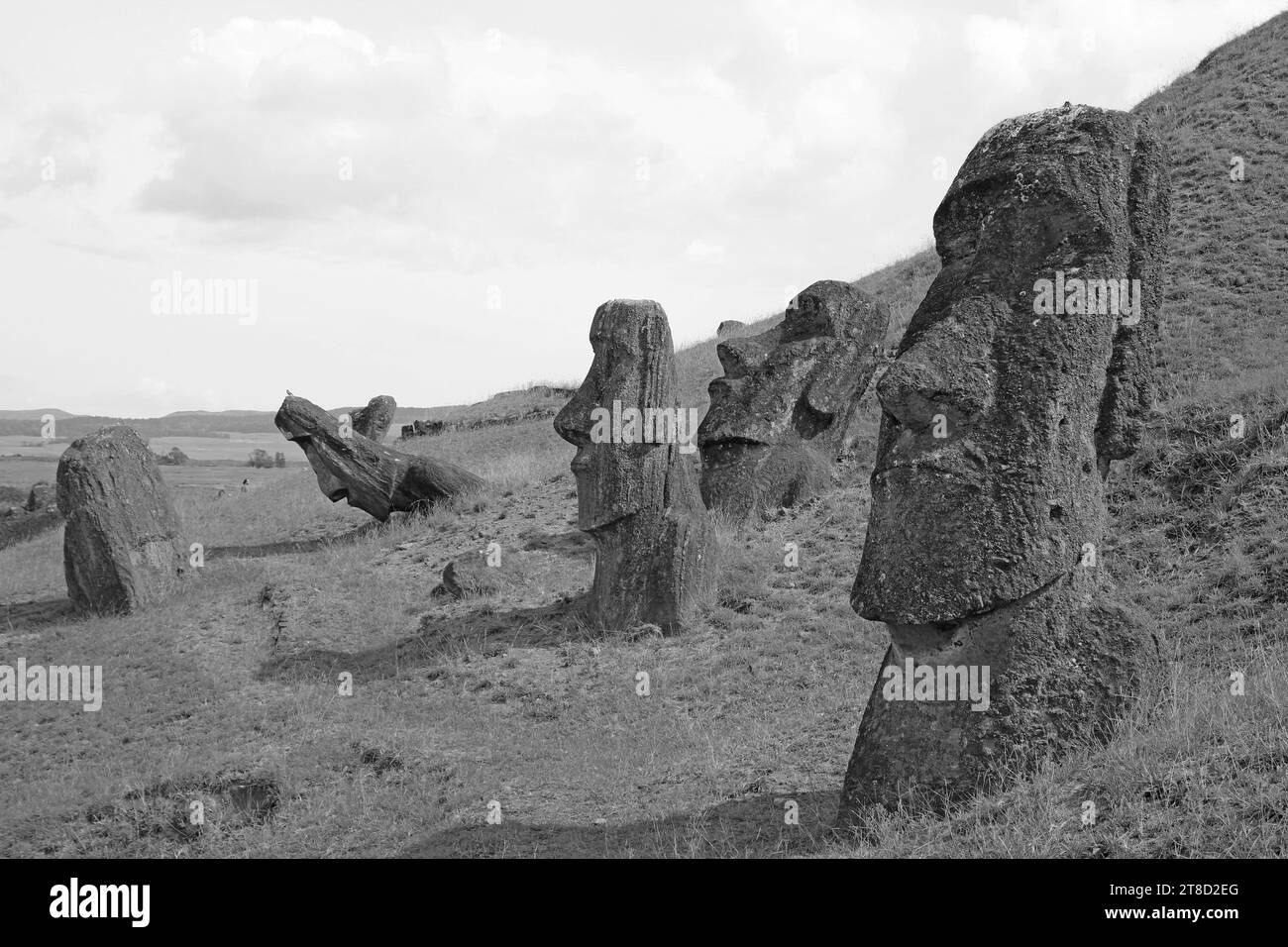 Rapa nui national holiday Black and White Stock Photos & Images - Alamy