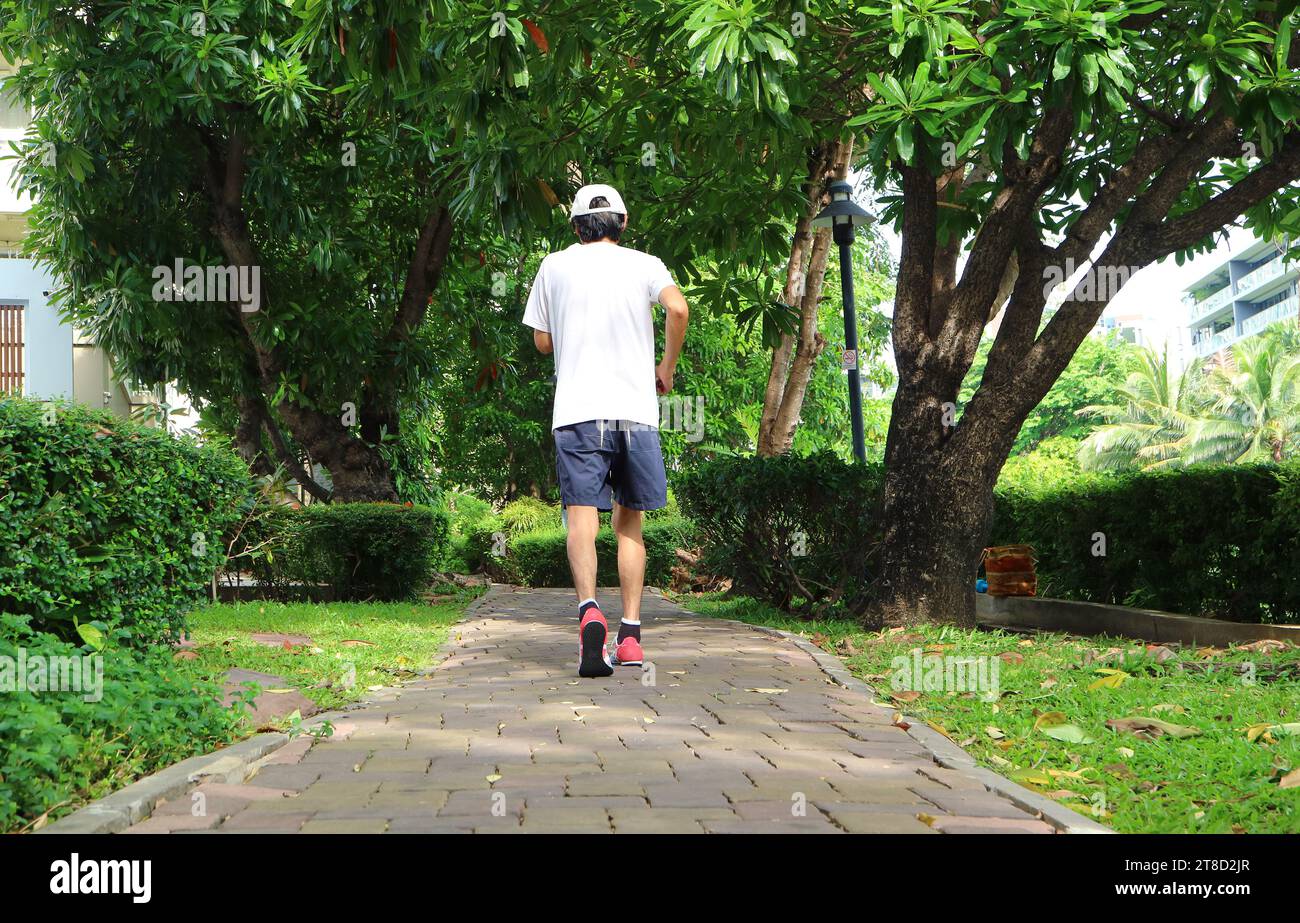 Man jogging in morning sunlight on garden paving path Stock Photo - Alamy