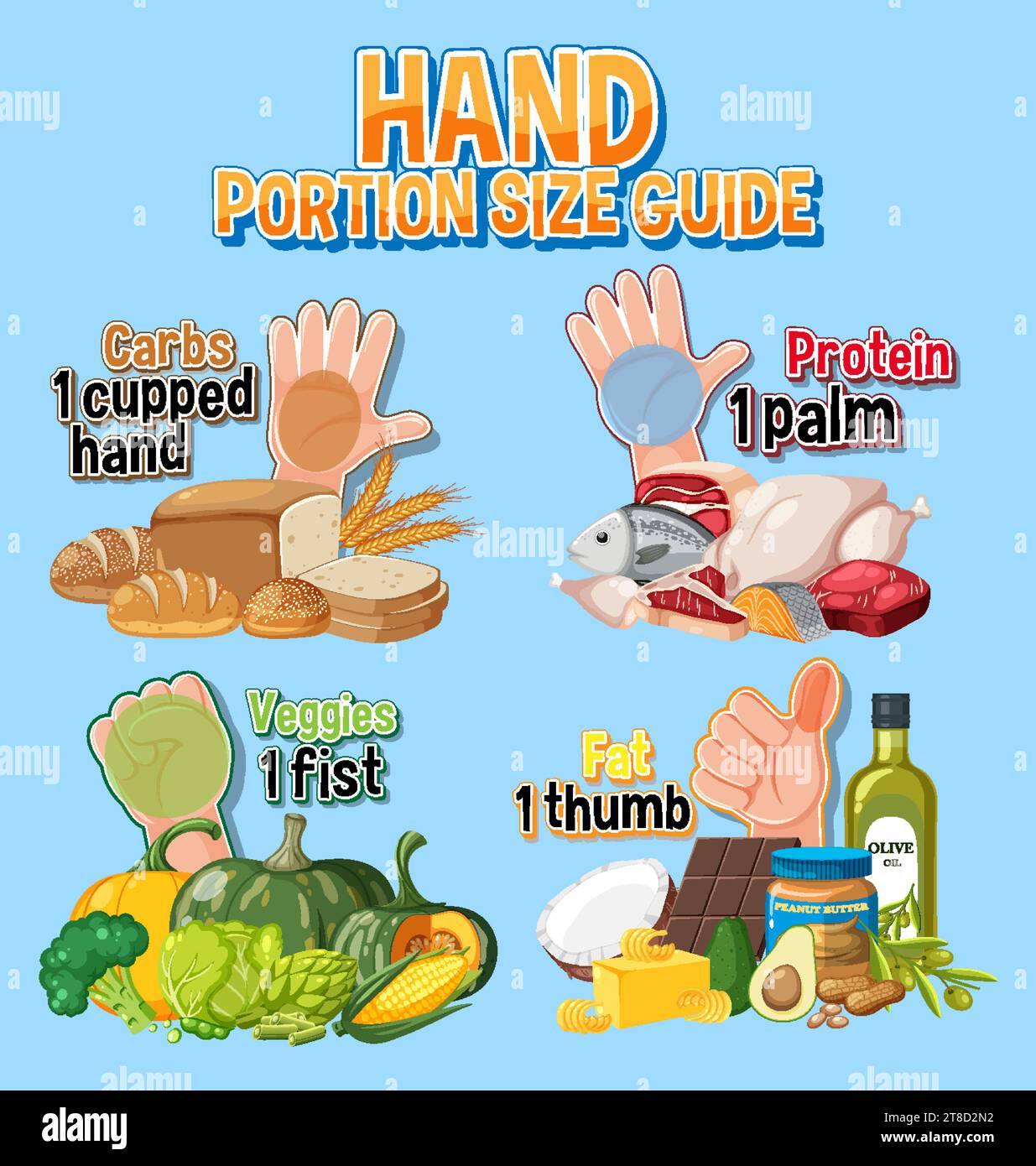 Comparing food amounts using hand portion sizes Stock Vector Image ... Comparing food amounts using hand portion sizes Stock Vector Image ...