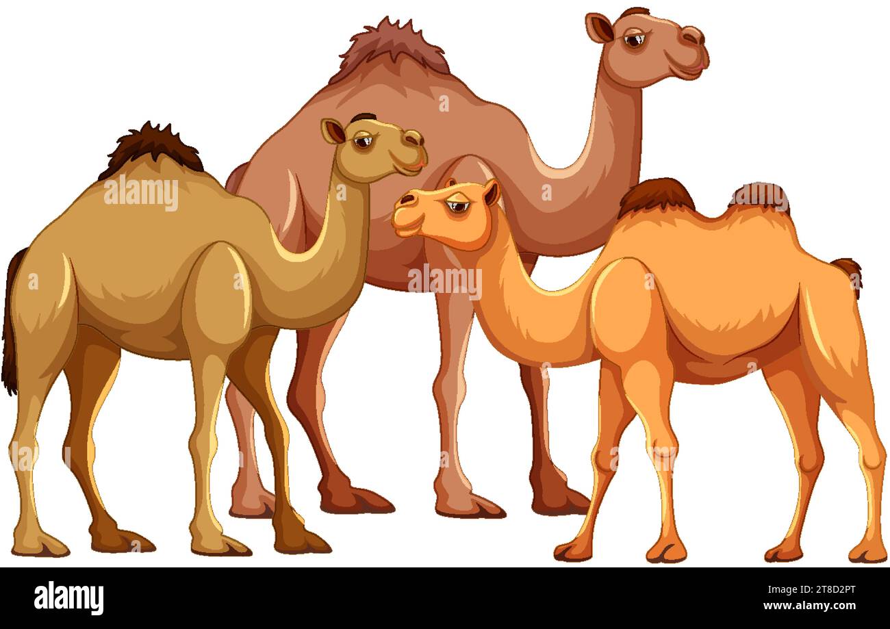 A vector cartoon illustration of a camel family walking together ...