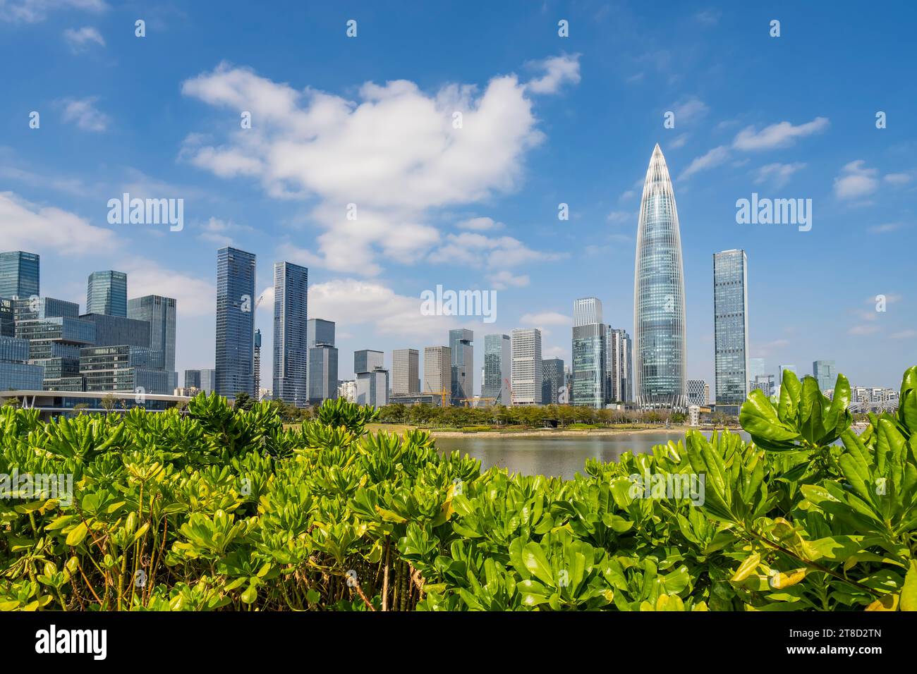 Park in city of Shenzhen China,beautiful mix of green trees combined ...