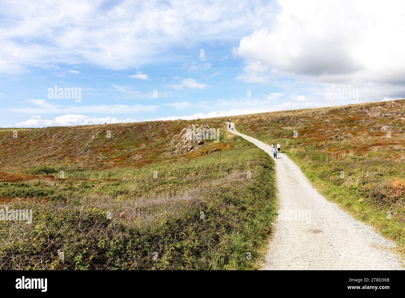 Kynance Cove Cornwall, landscape around Kynance Cove and national trust ...
