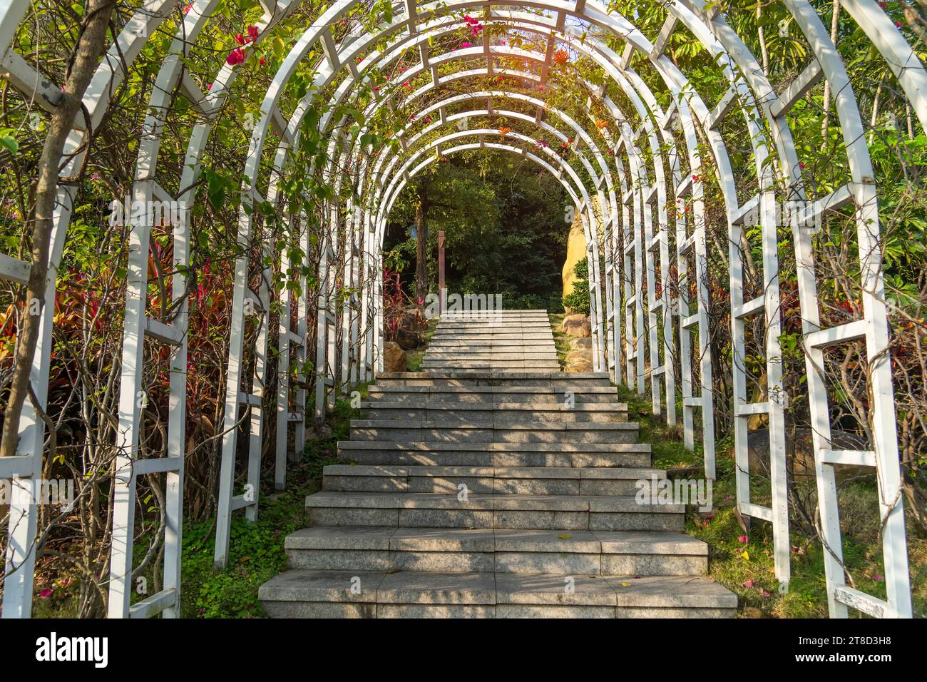 arch and growing colorful spring flowers Stock Photo - Alamy