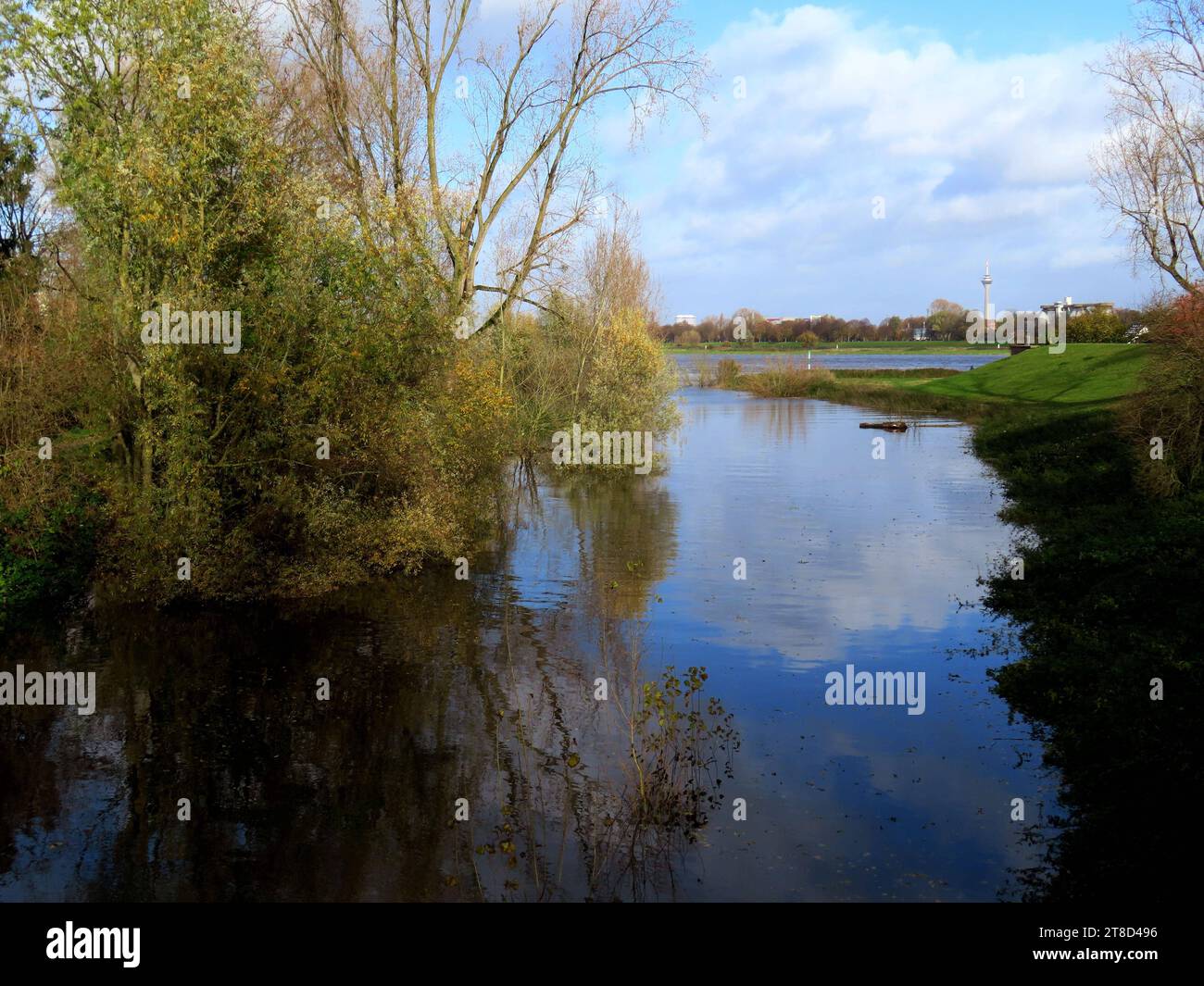 Blick auf die Erftmuendung in den Rhein bei Hochwasser Erftmuendung in ...