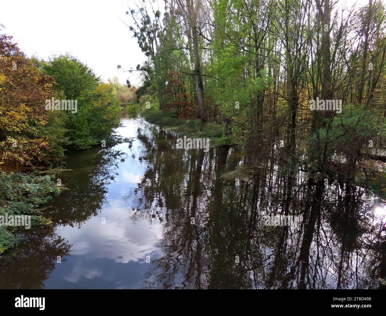 Die Erftauen werden vom ansteigenden Wasser des Flusses ueberschwemmt ...