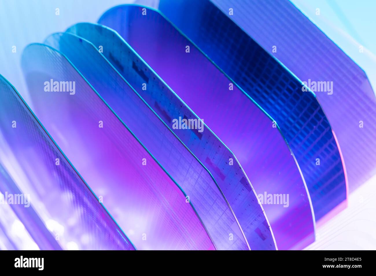 Silicon Wafers in plastic holder box Stock Photo - Alamy