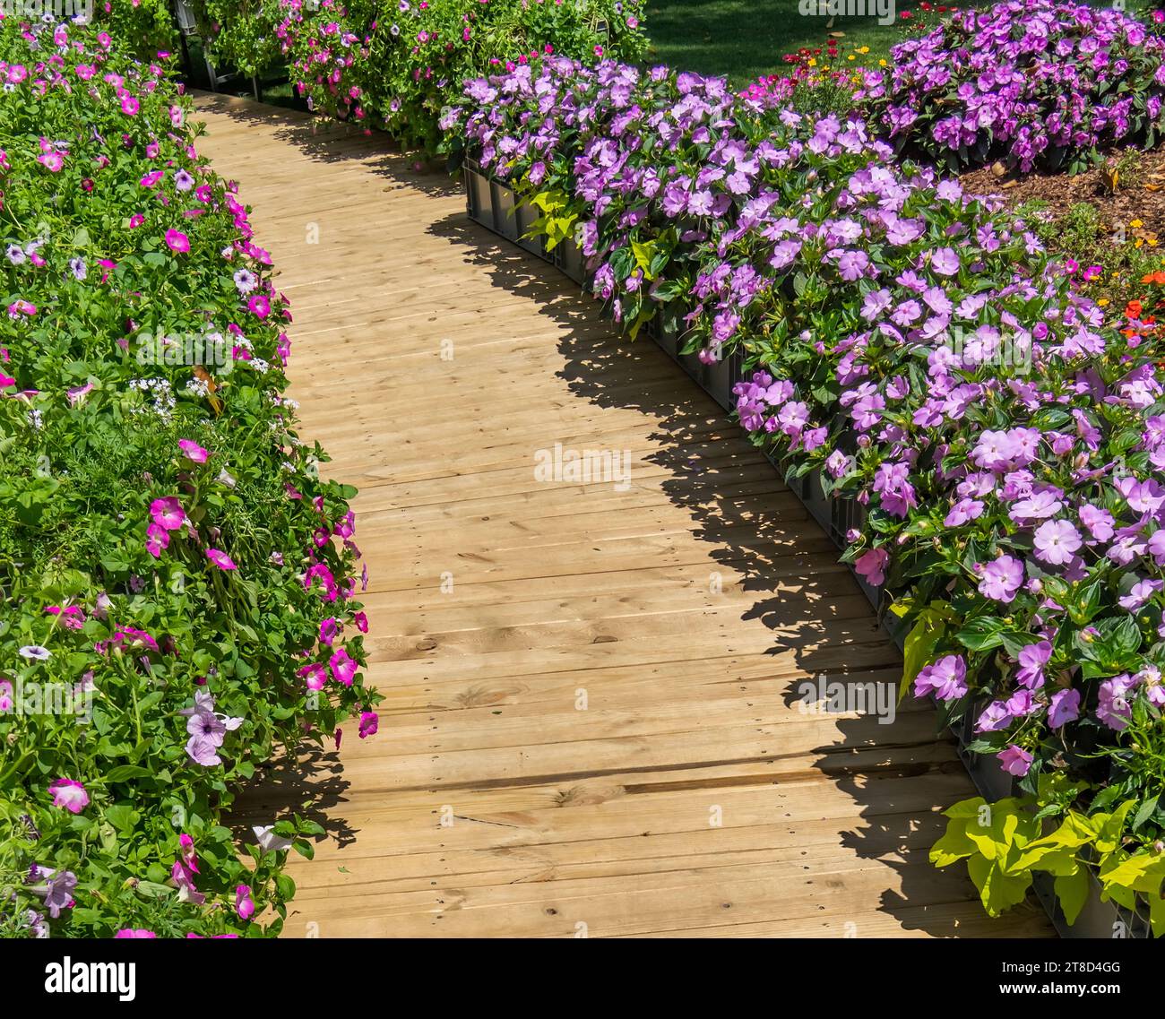 Trail leading to home hi-res stock photography and images - Alamy