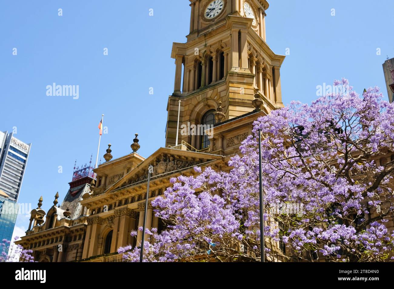 Sydney, New South Wales, Australia - Nov 10, 2022: a flowering ...