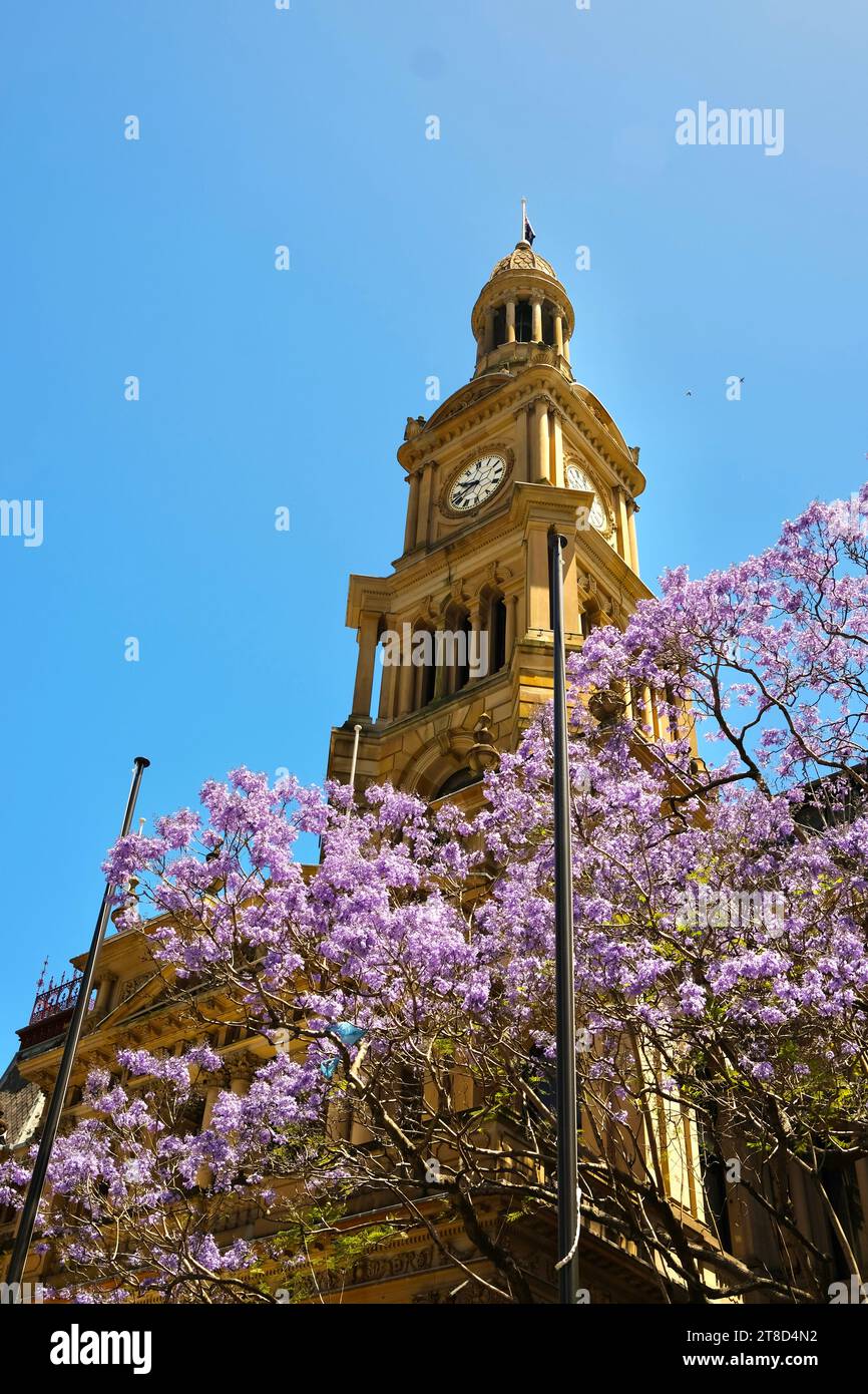 Sydney, New South Wales, Australia - Nov 10, 2022: a flowering ...