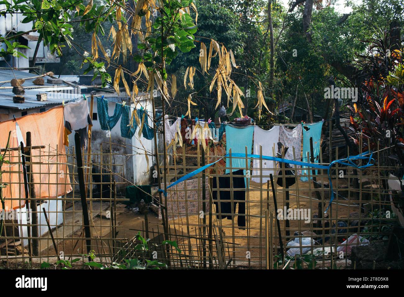 Village home and backyard, Meghalaya, India Stock Photo - Alamy