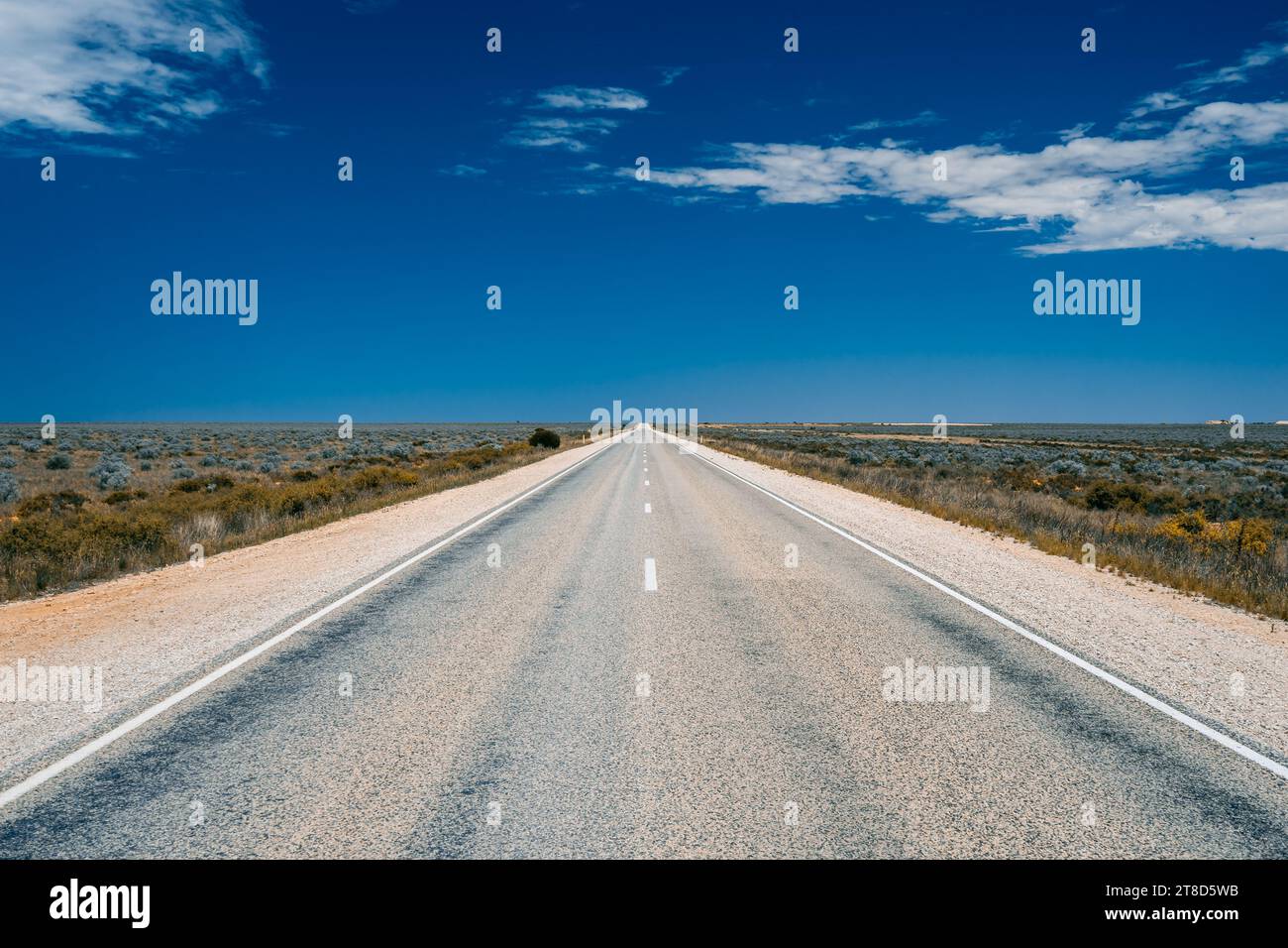 Long empty road through Nullarbor in South Australia Stock Photo - Alamy