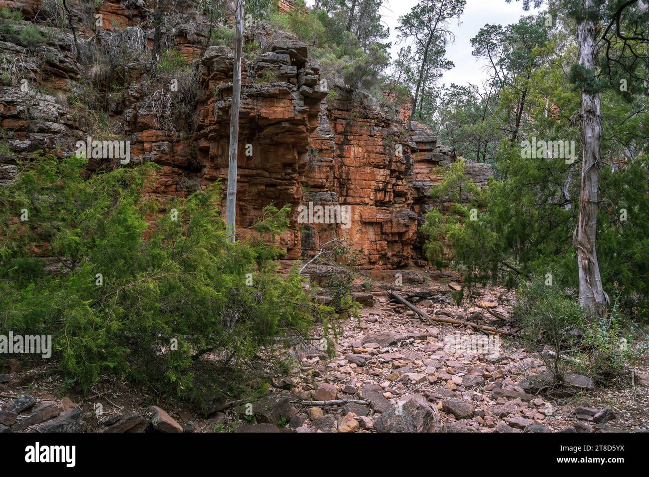 Alligator Gorge in Mount Remarkable National Park, South Australia ...