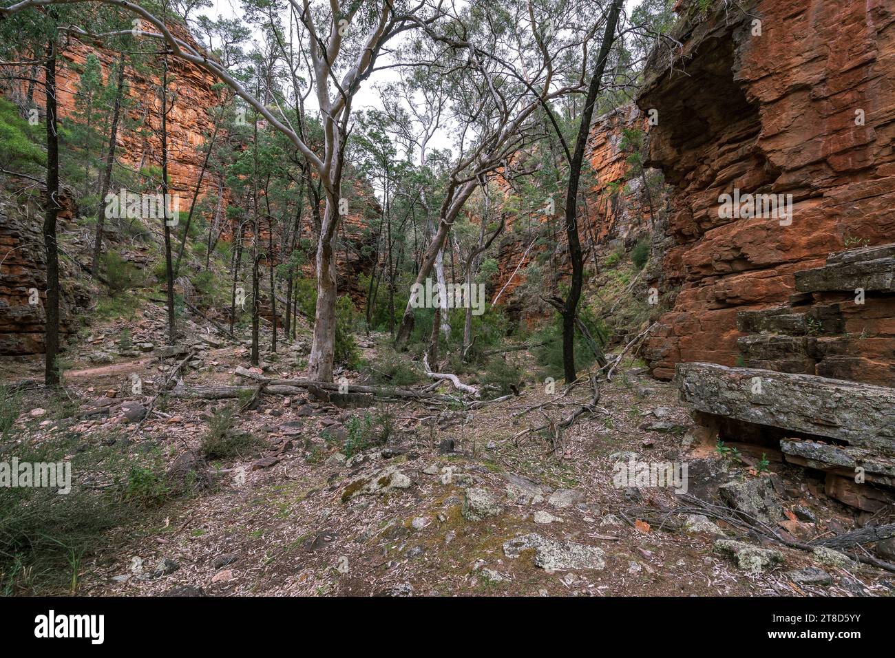 Alligator Gorge in Mount Remarkable National Park, South Australia ...