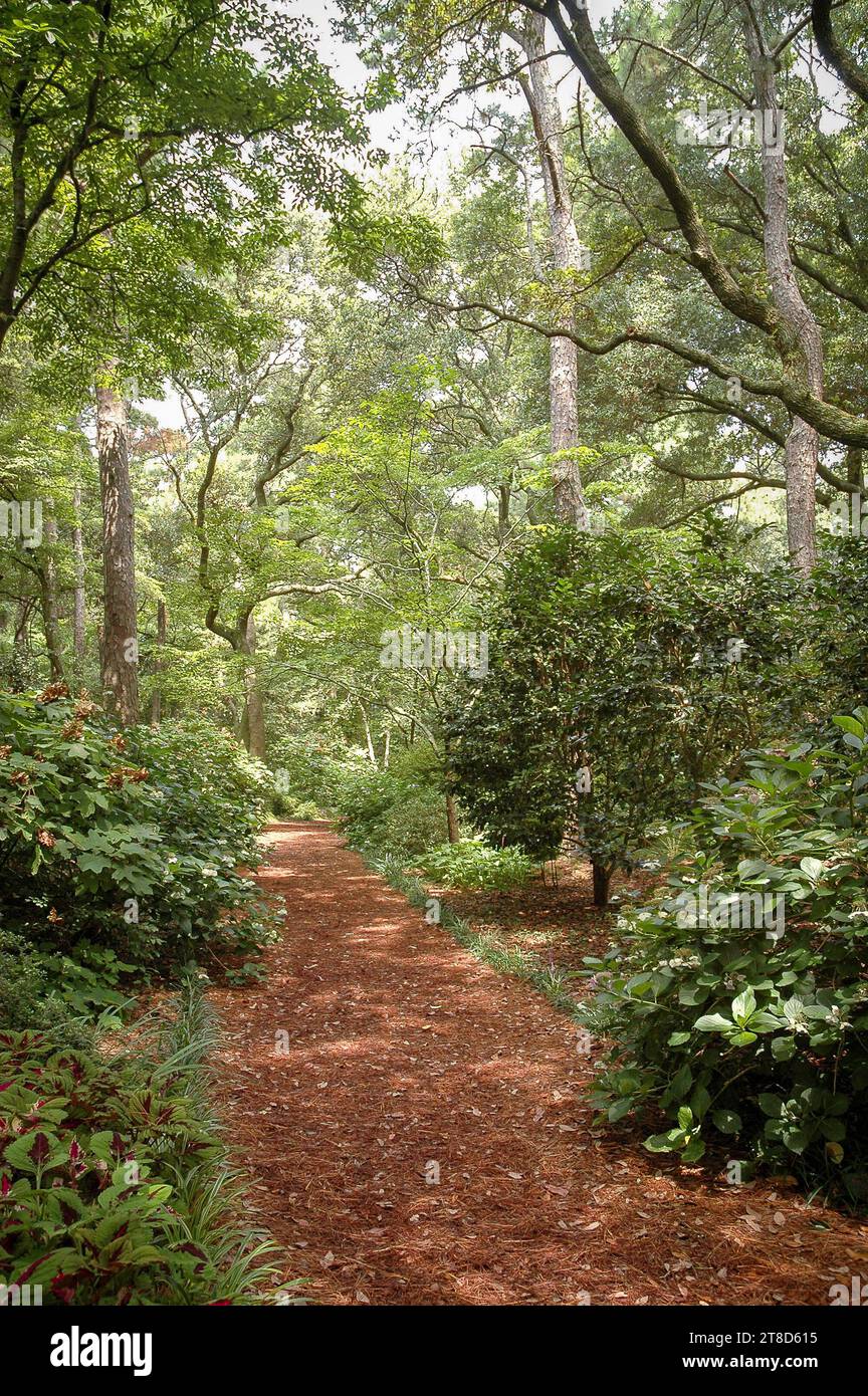 The Elizabethan Gardens, Botanical garden in North Carolina Stock Photo ...