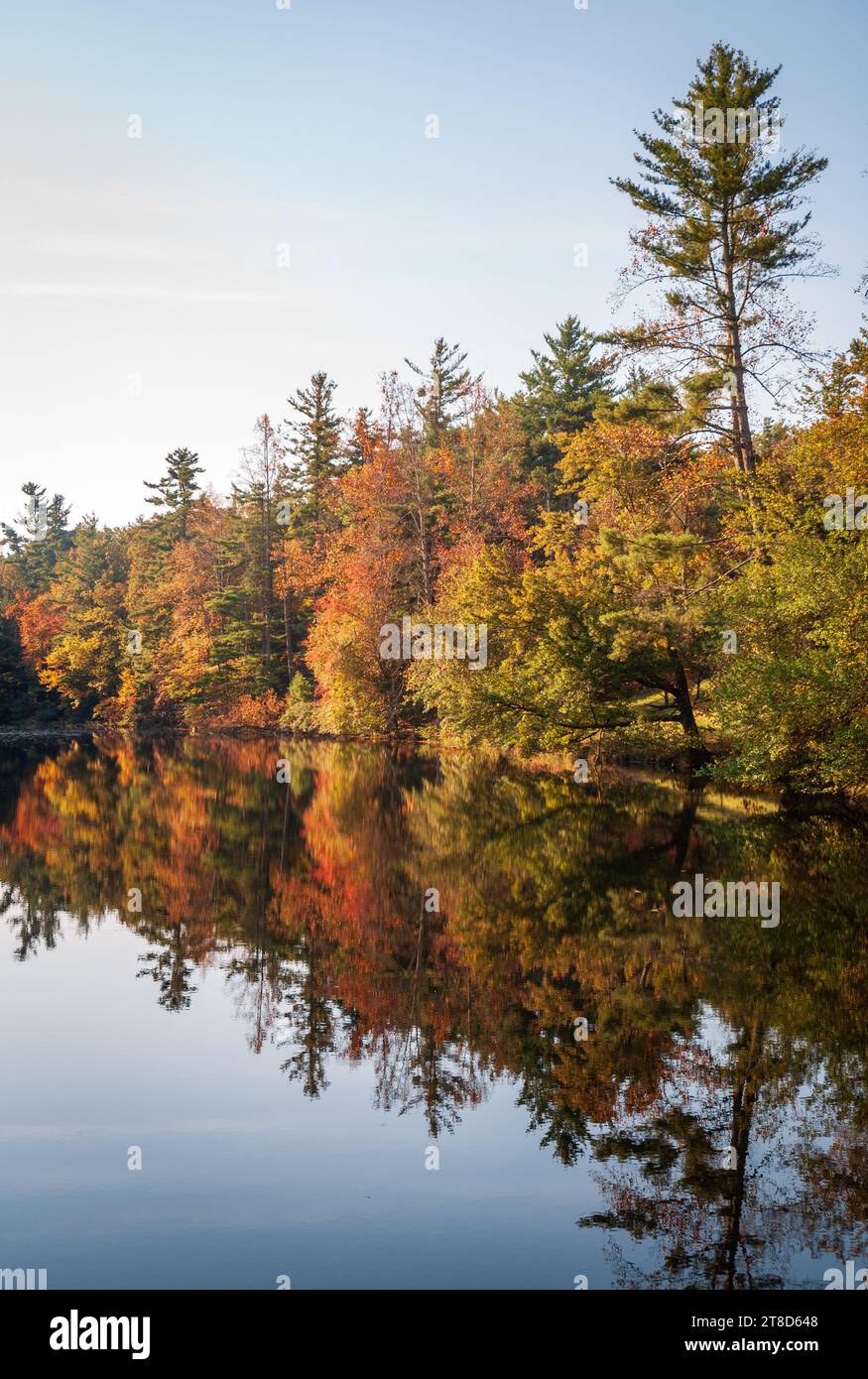 Carl Sandburg Home National Historic Site, Hiking area in Flat Rock ...
