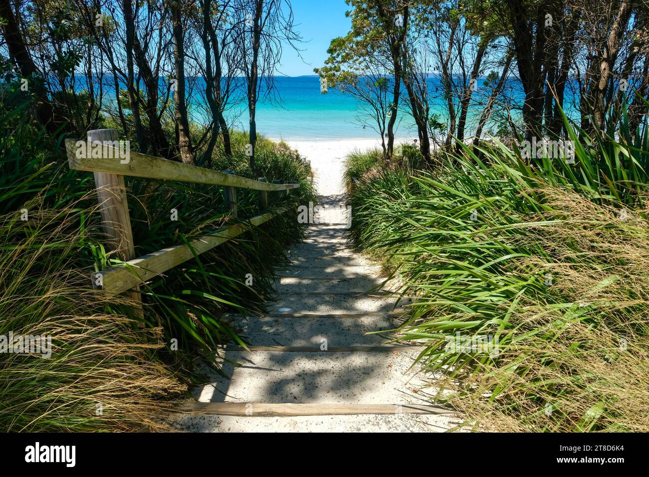 Wooden steps framed by trees and shrubs leading down to a white sand ...