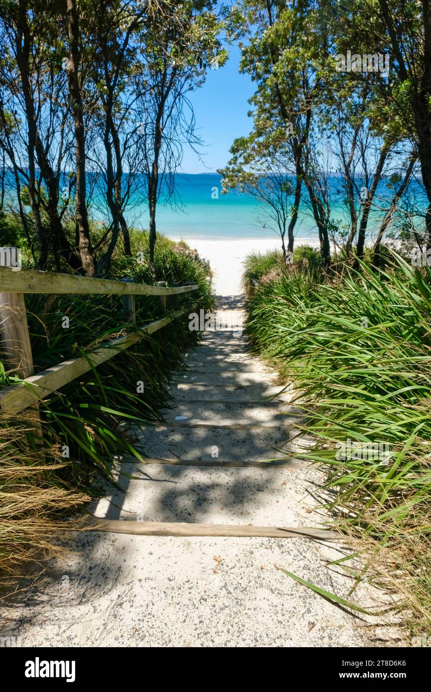 Wooden steps framed by trees and shrubs leading down to a white sand ...