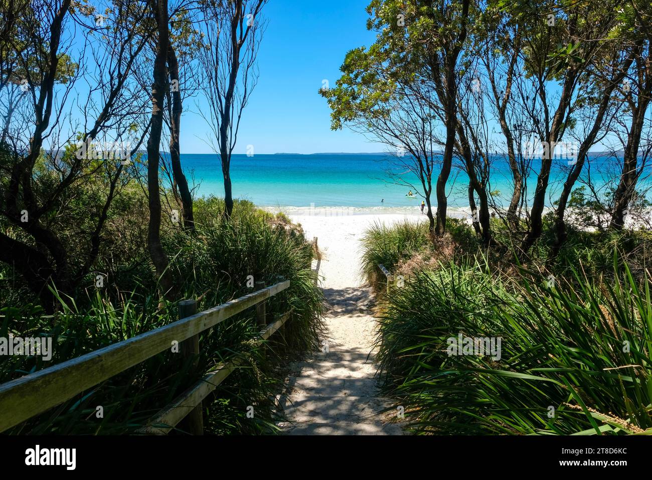 Wooden steps framed by trees and shrubs leading down to a white sand ...
