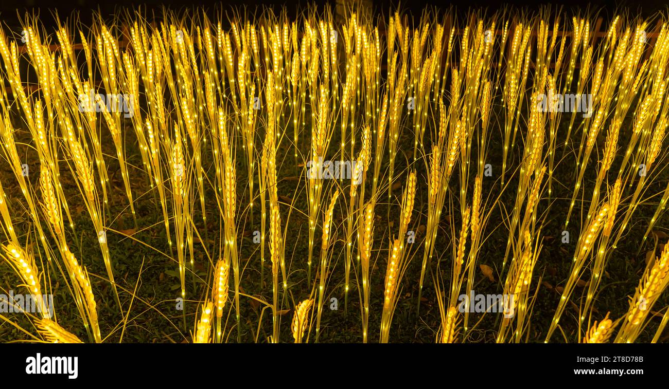 Artificial rice field hi-res stock photography and images - Alamy
