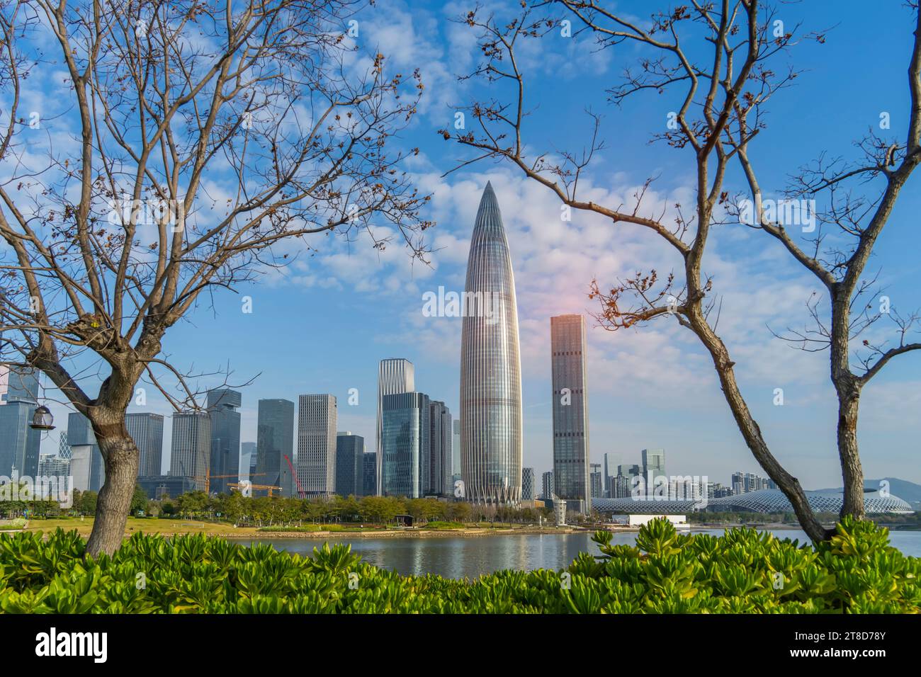 Park in city of Shenzhen China,beautiful mix of green trees combined ...