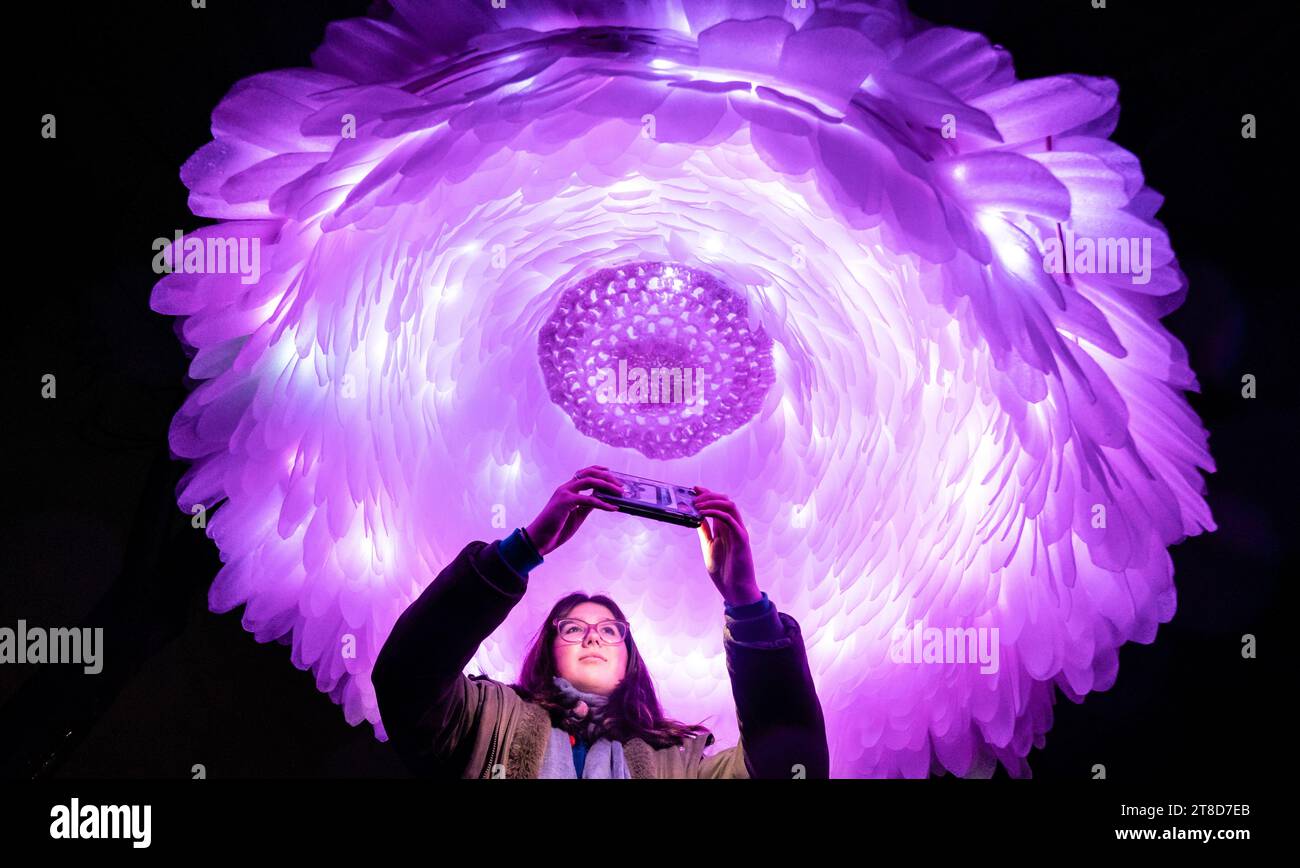 Mathilda sharp takes a photo of 'Nectary' an installation by artist ...