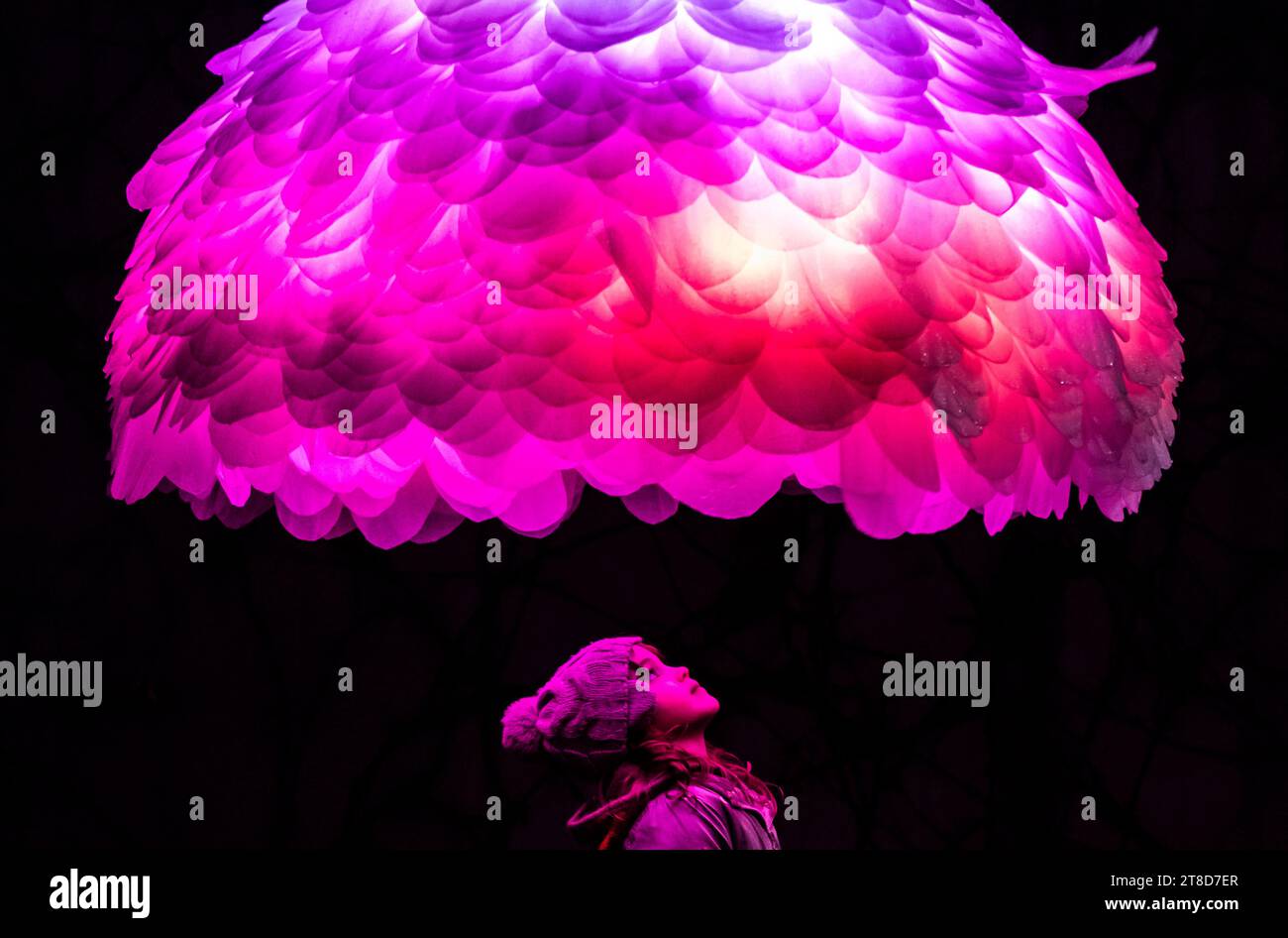 Five-year-old Lyra (no last name given) explores 'Nectary' an ...