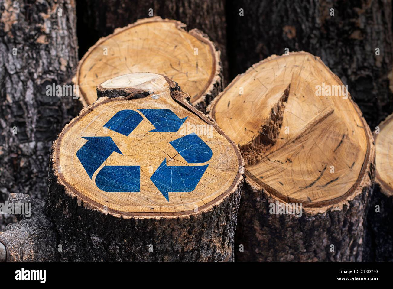 Recycle symbol stamp on wood trunks. Log trunks pile, the logging ...