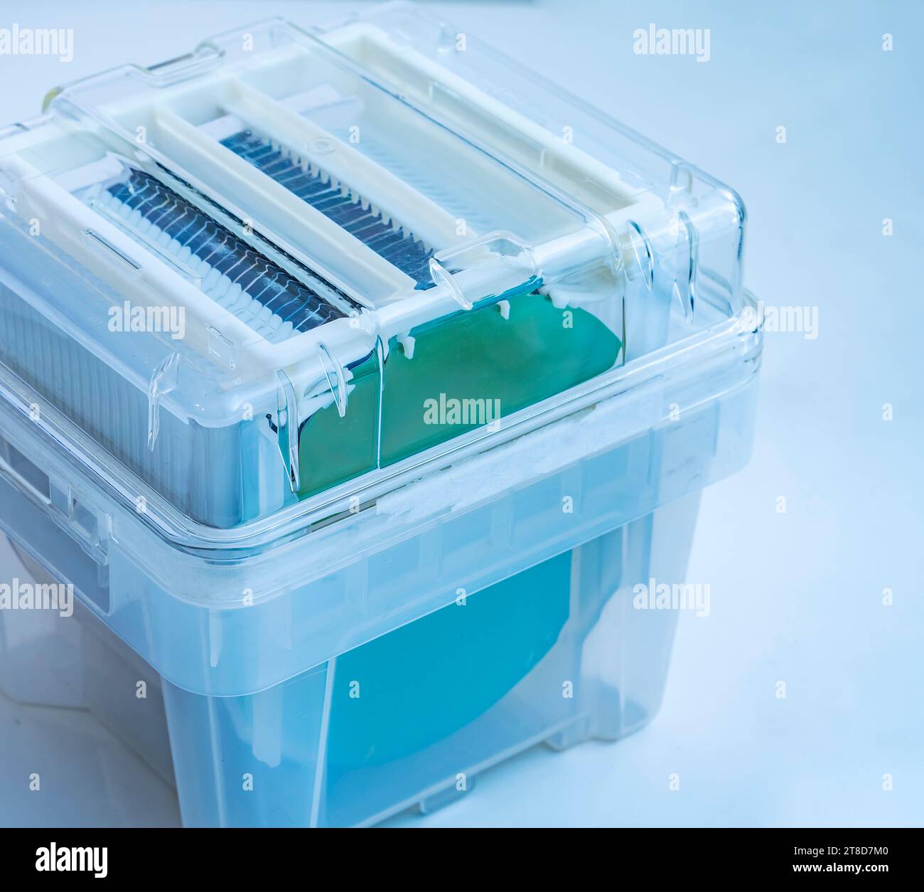 Silicon Wafers in plastic holder box Stock Photo - Alamy