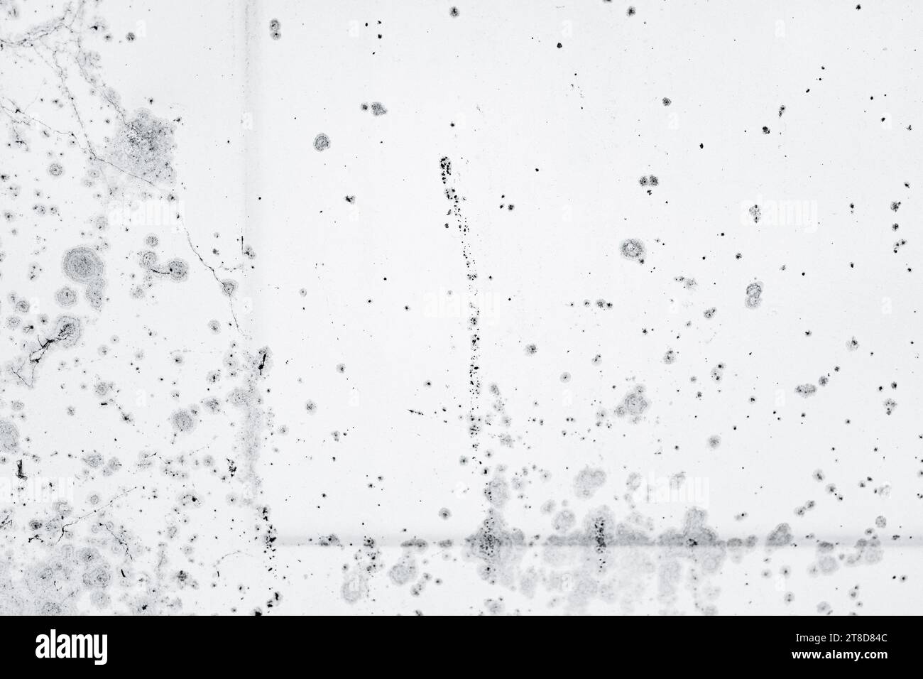 A white background featuring an abstract black paint splatter design ...