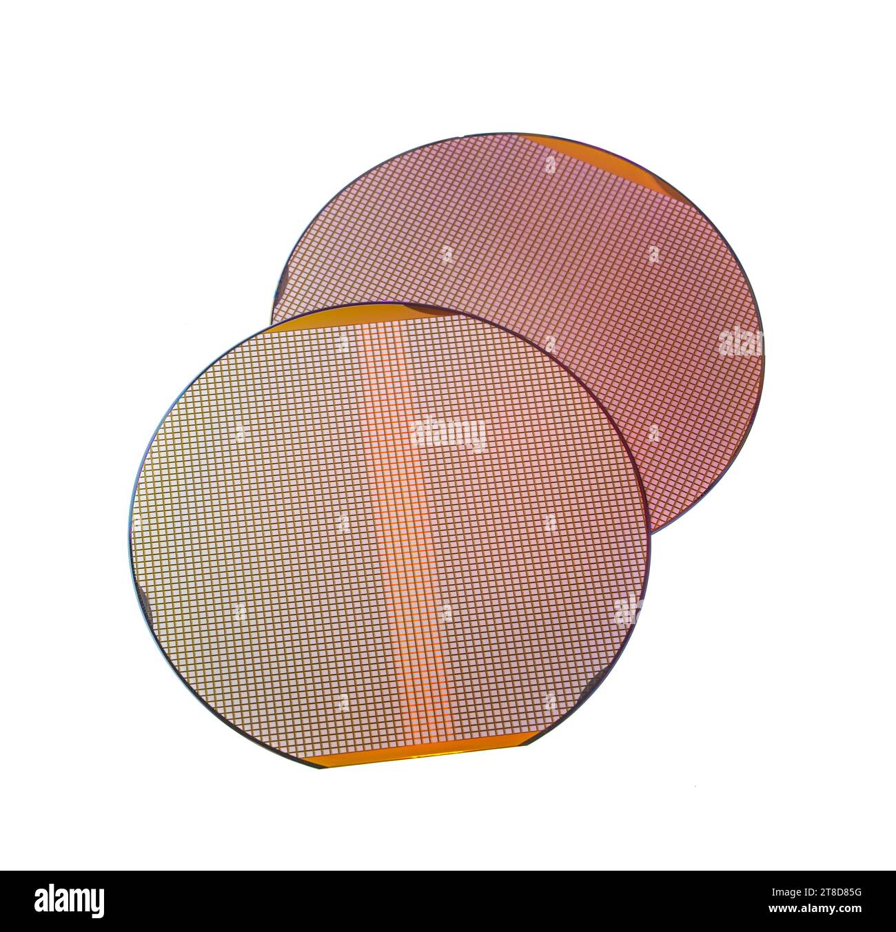 Silicon wafer with chips isolated on white background Stock Photo - Alamy