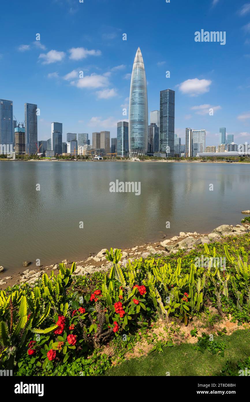 Park in city of Shenzhen China,beautiful mix of green trees combined ...