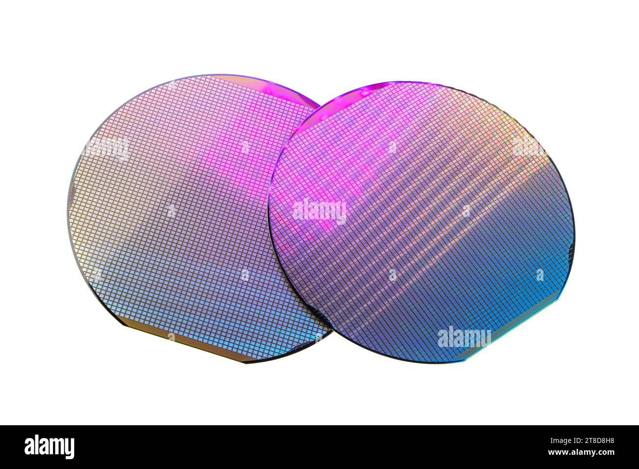 Silicon wafer with chips isolated on white background Stock Photo - Alamy