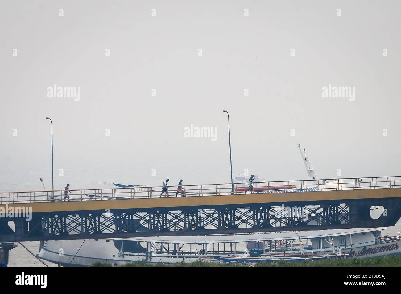 Amazon rainforest brazil bridge hi-res stock photography and images - Alamy