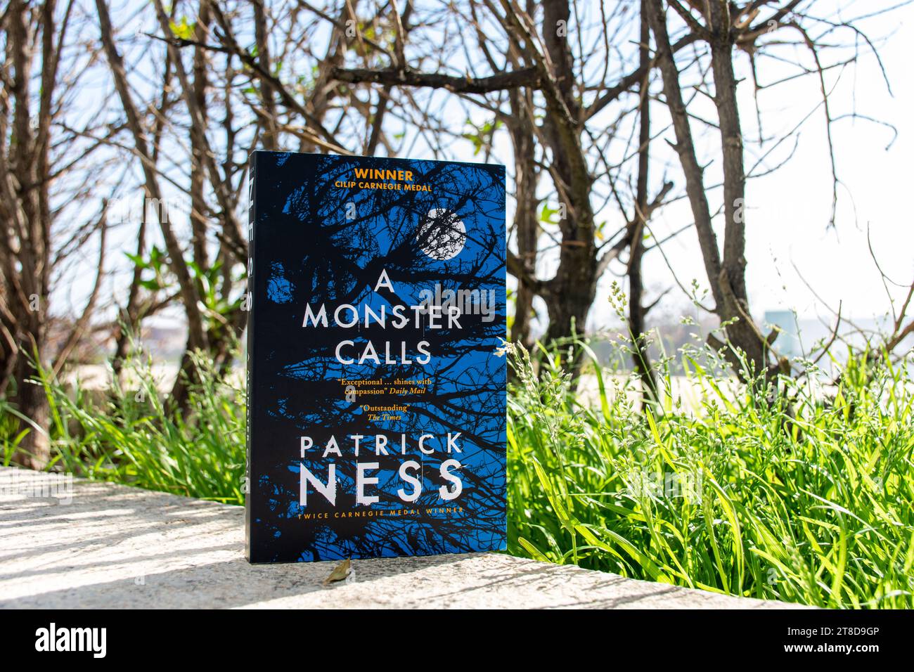 Close up Patrick Ness's A Monster Calls novel in the garden Stock Photo ...